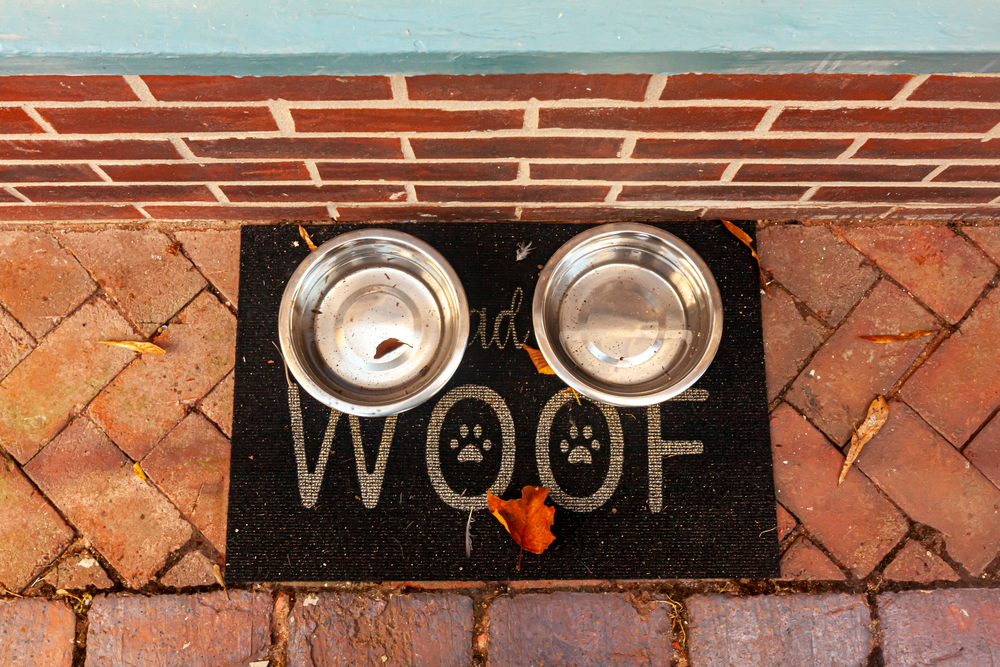 Mats To Put Dog Bowls On at Jayson Norman blog